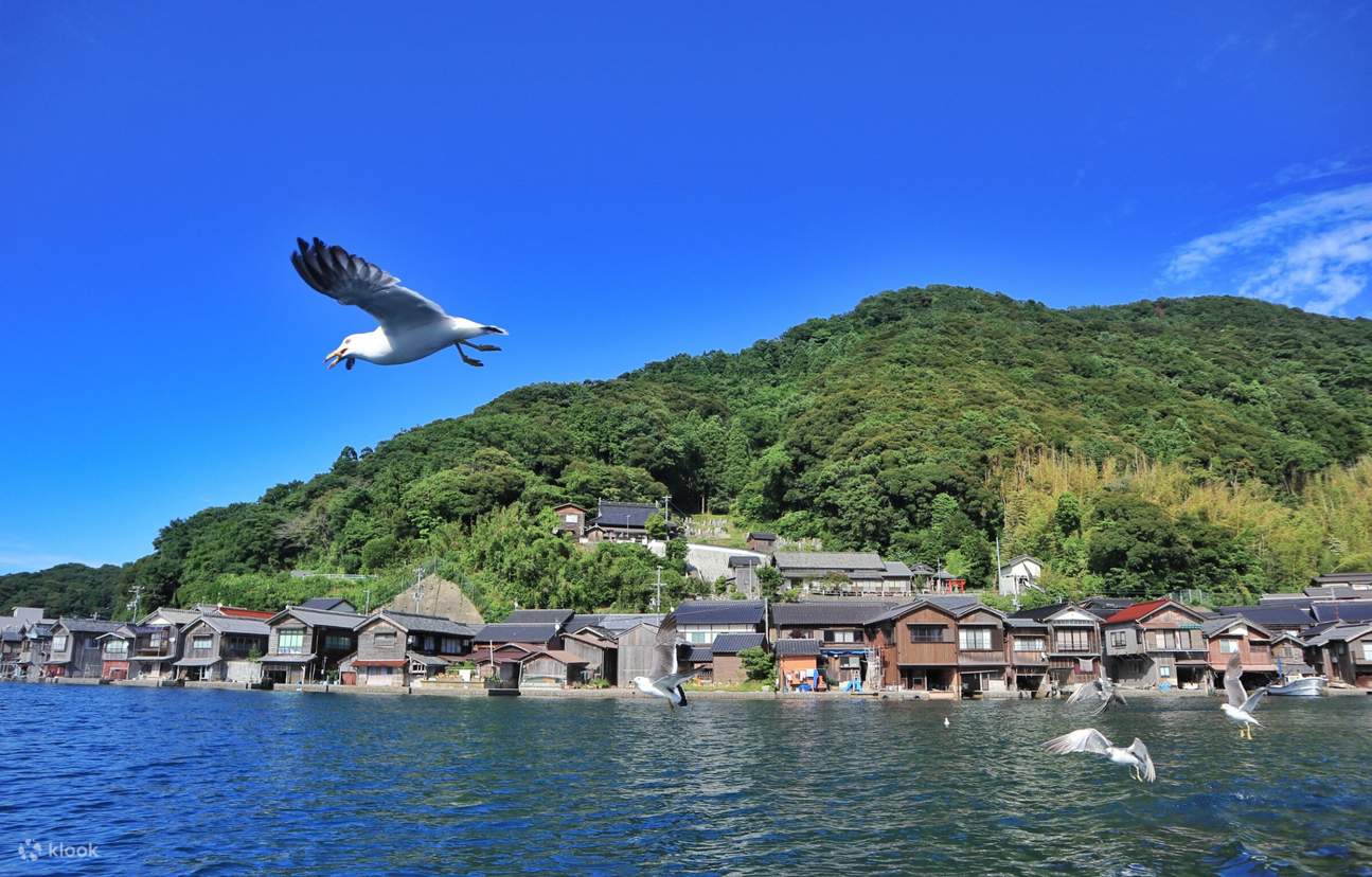 [Miyama, Amanohashidate & Ine Boathouse Day Trip] Departing from Osaka ...